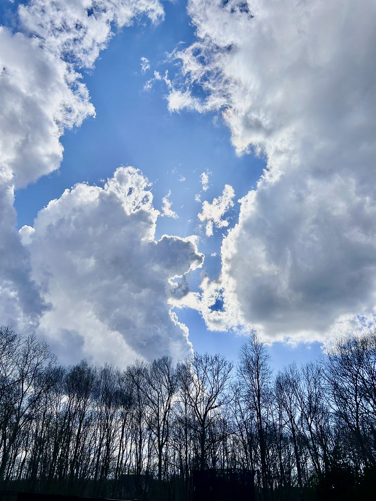 IMG_8155 | Amy Neikrie | Flickr